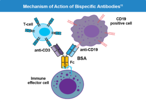 Treating & Managing NHL – NHL Strive